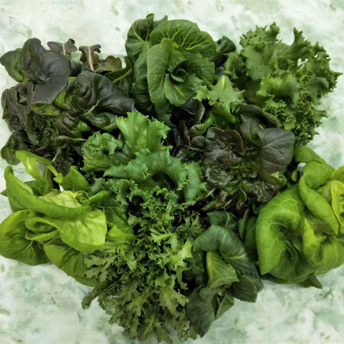 Leafy Greens & Herbs – Backyard Fresh