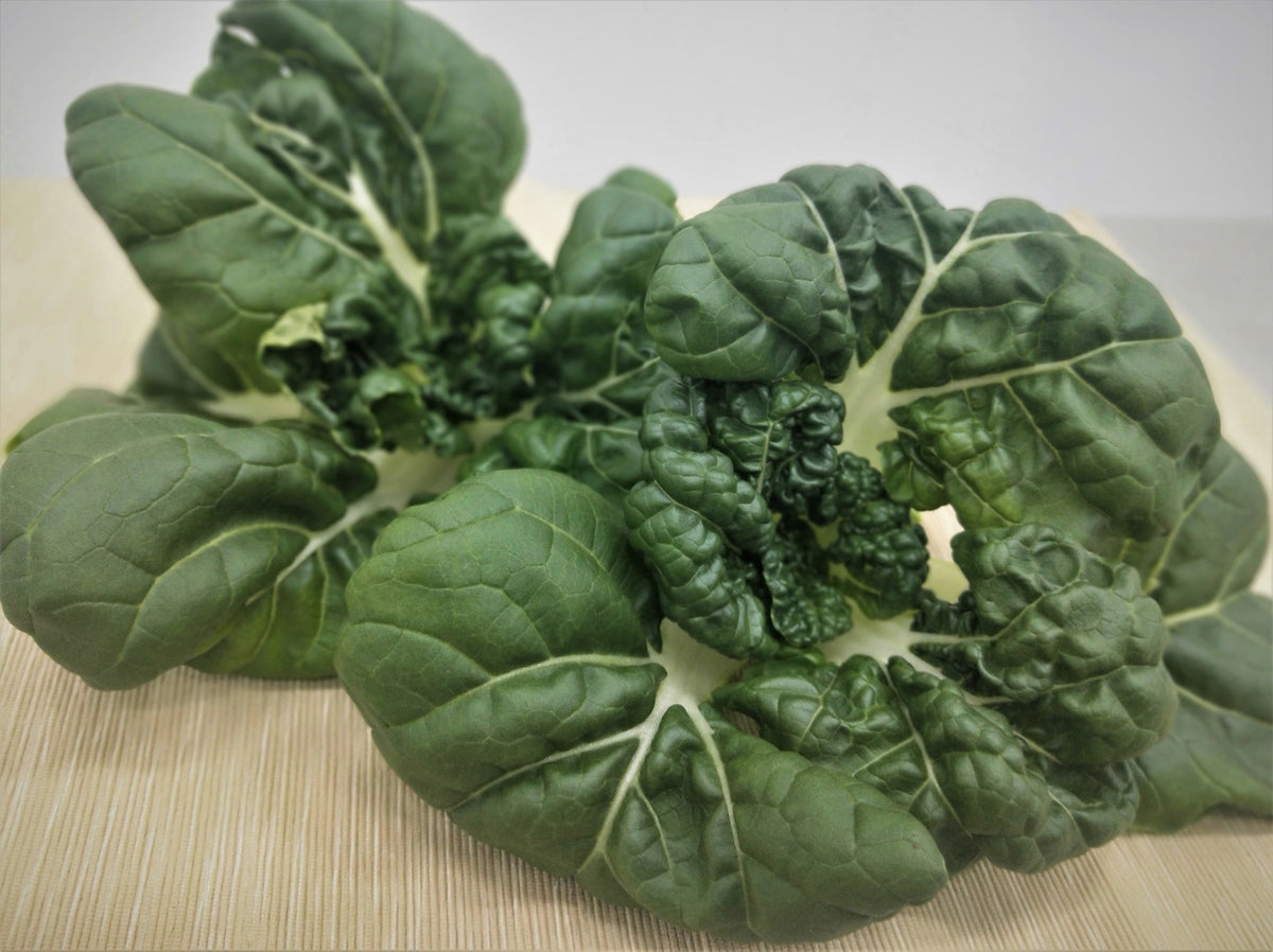 Nai Bai | Bountiful – Backyard Fresh