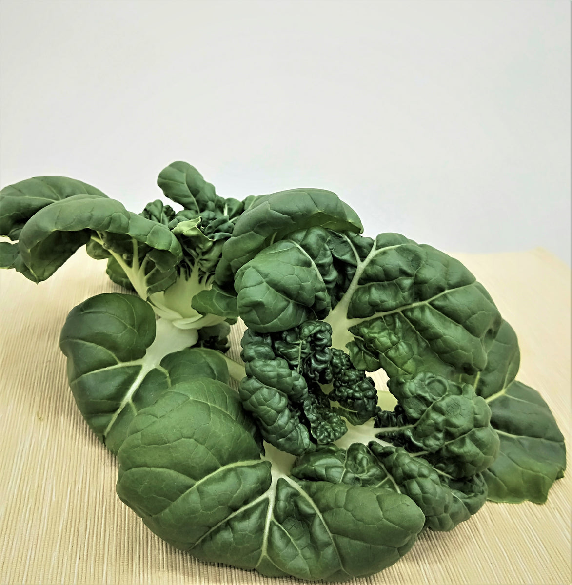 Nai Bai | Bountiful – Backyard Fresh